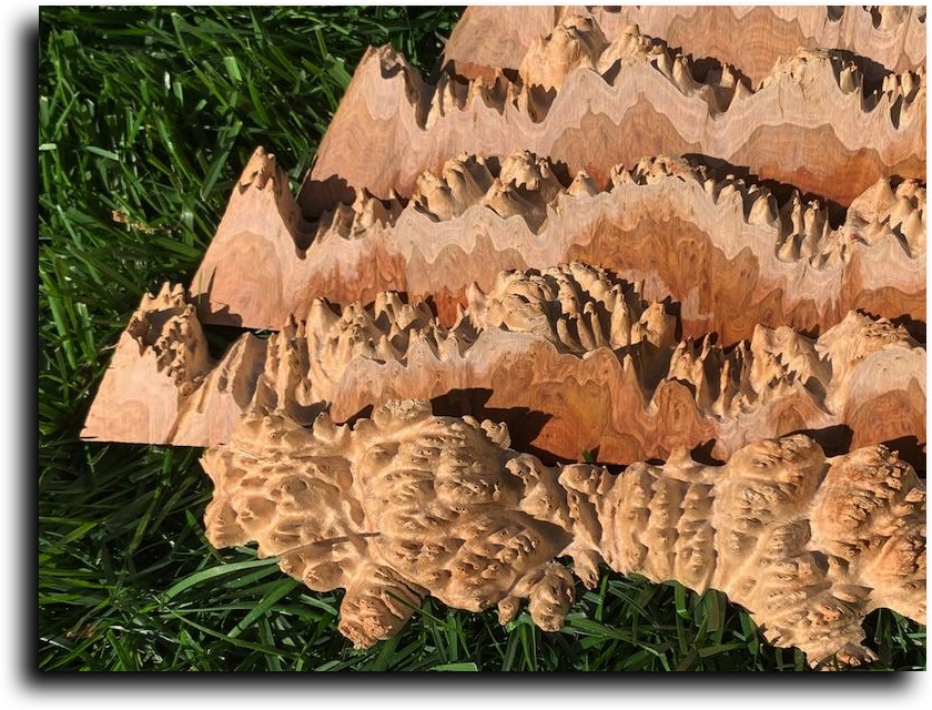 AustralianBurls.com - Strip Cut Burls