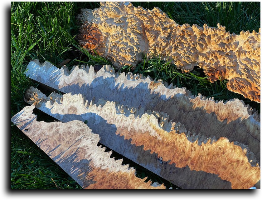 AustralianBurls.com - Strip Cut Burls